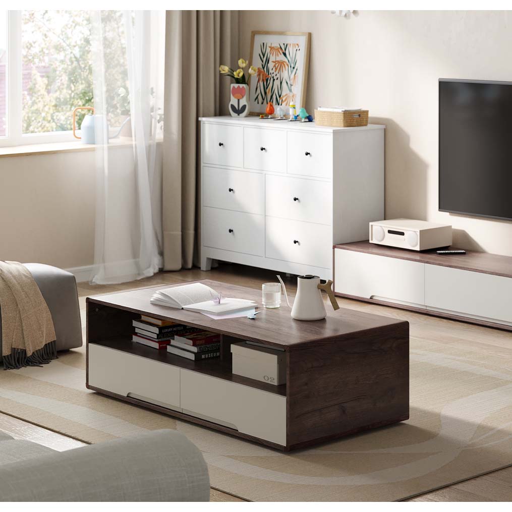 Modern White Color Rectangle Coffee Table With Storage EF1L-HW ...