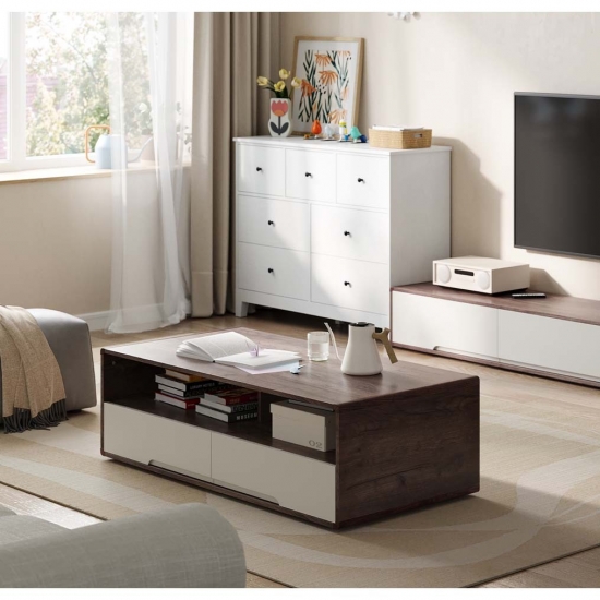 Modern White Color Rectangle Coffee Table With Storage EF1L-HW ...